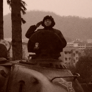 七心海棠114514 