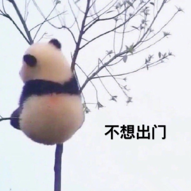 蓝色的大海与帆影 