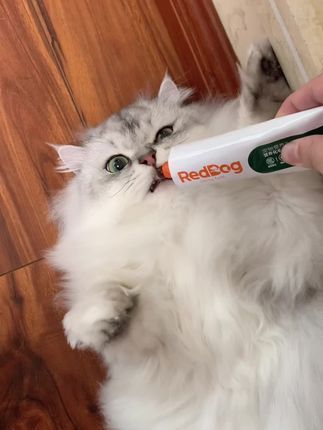 醒醒的毛像云朵一样软梳下来的猫毛能做什么