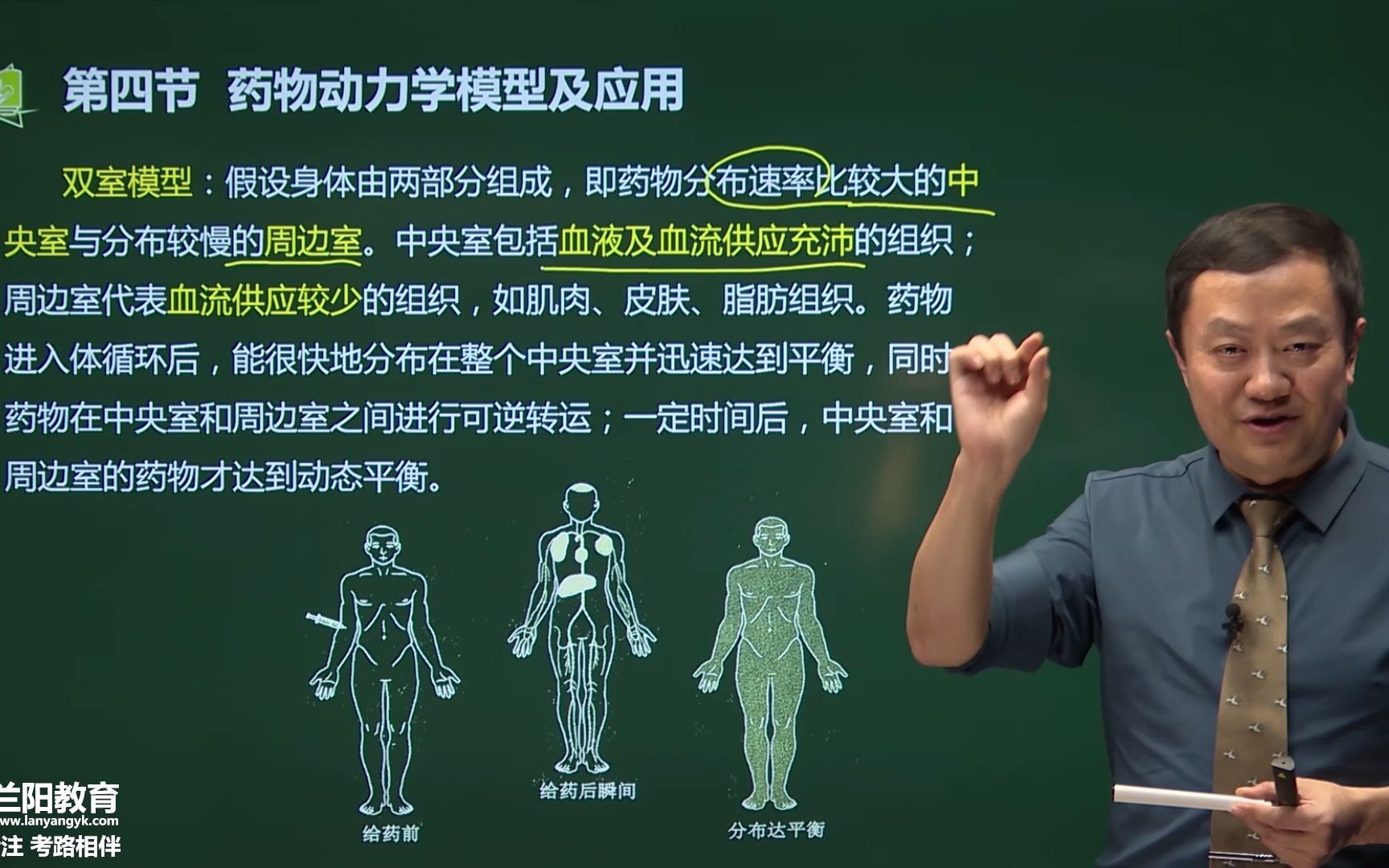 59-第七章-第四节-药物动力学模型及应用