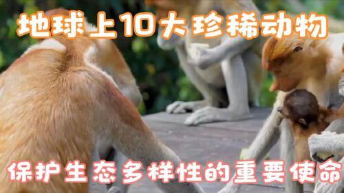 地球上10大珍稀动物:保护生态多样性的重要使命