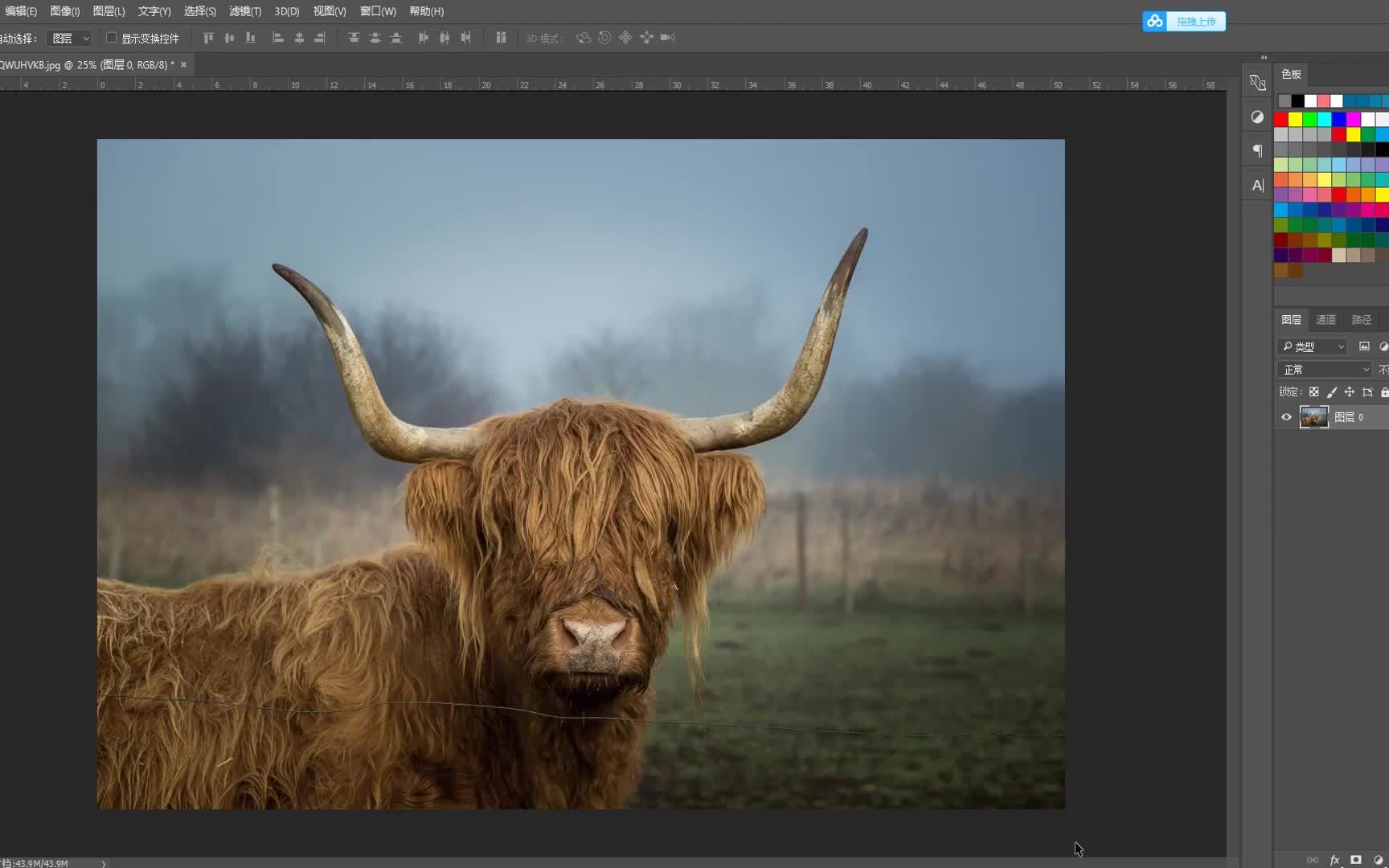 电商设计PS滤镜