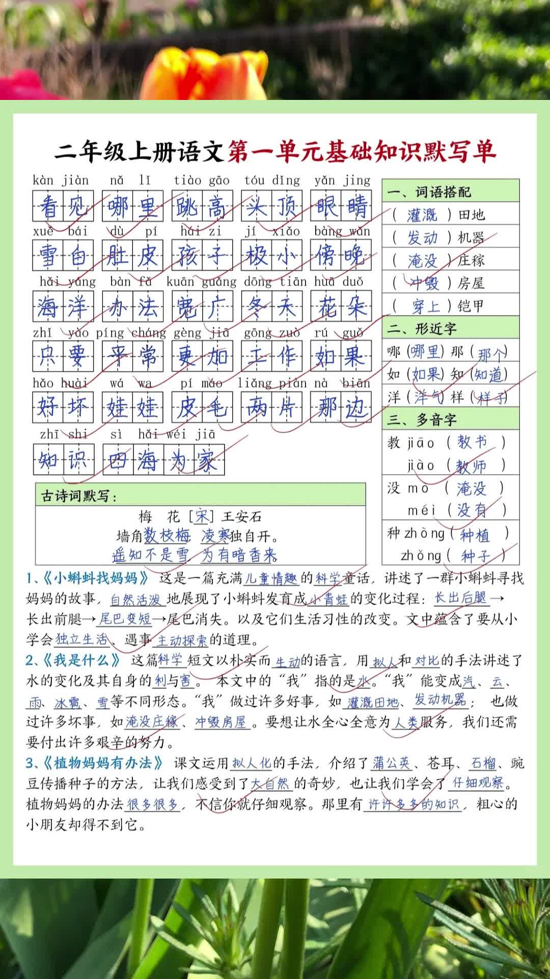 #三年级 放学后如何做好语数复习巩固准备这套语数同步默写计算就够...