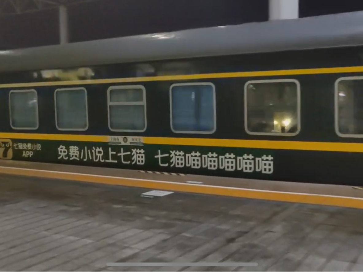 湖北宜昌,实拍Z258次列车开出宜昌东站,这趟列车性价比很高