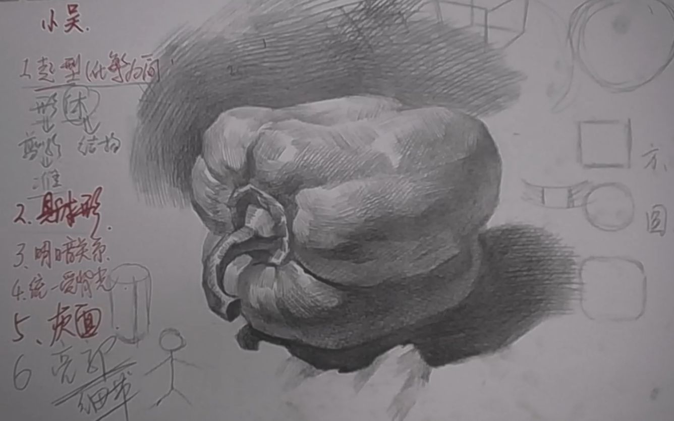 【素描教程】素描静物辣椒的表现形式