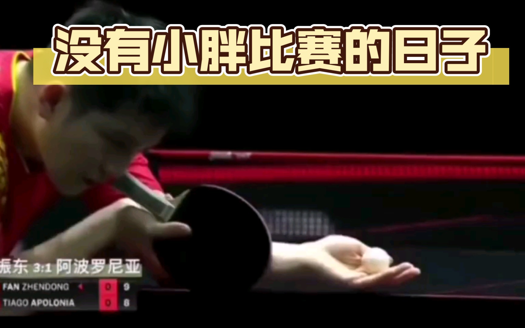 想念樊振东比赛的日子——樊振东强力回合集锦