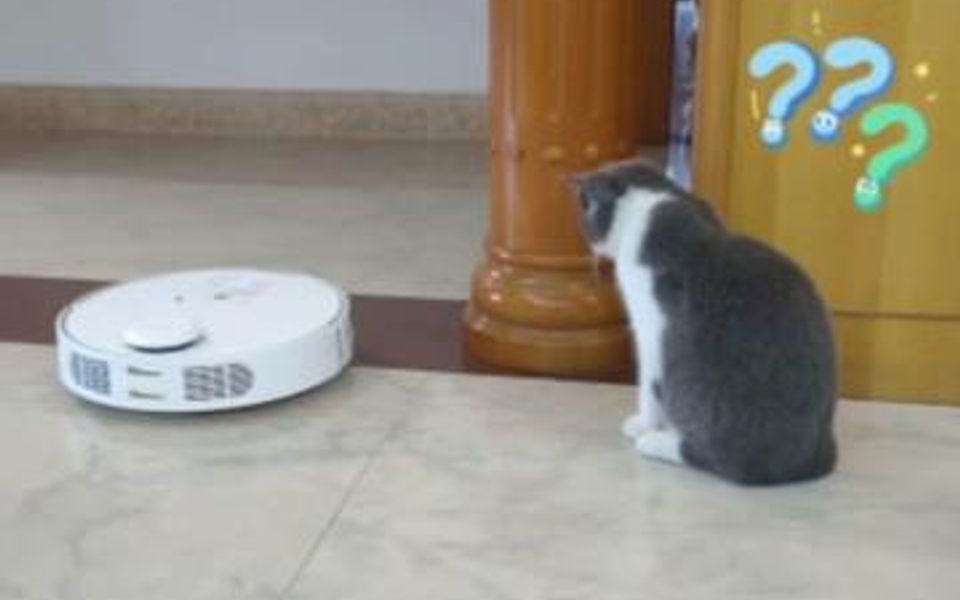 驾到,“包子”很喜欢的撒～ߥ