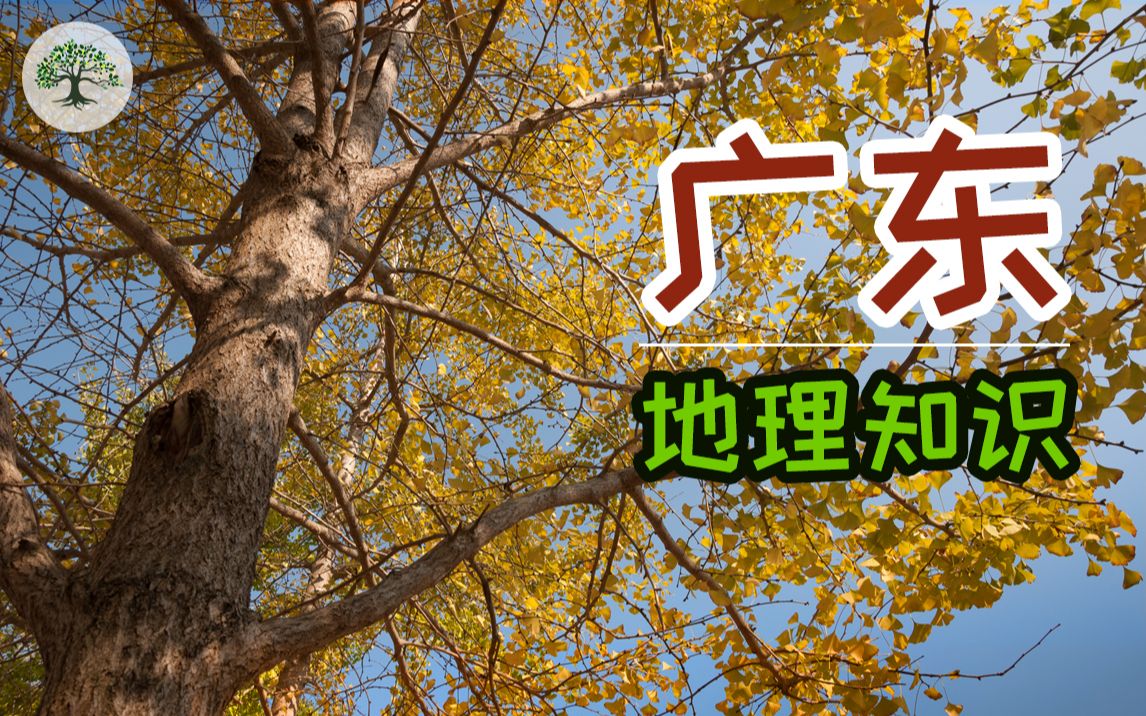 广东地图知识科普,广东地理知识,广东省地形地貌原来是这样的