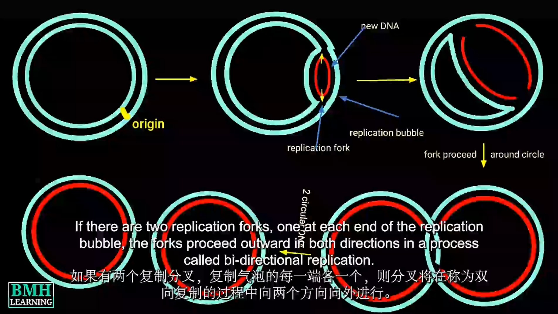 θ 复制的动画演示(中英文双字幕)
