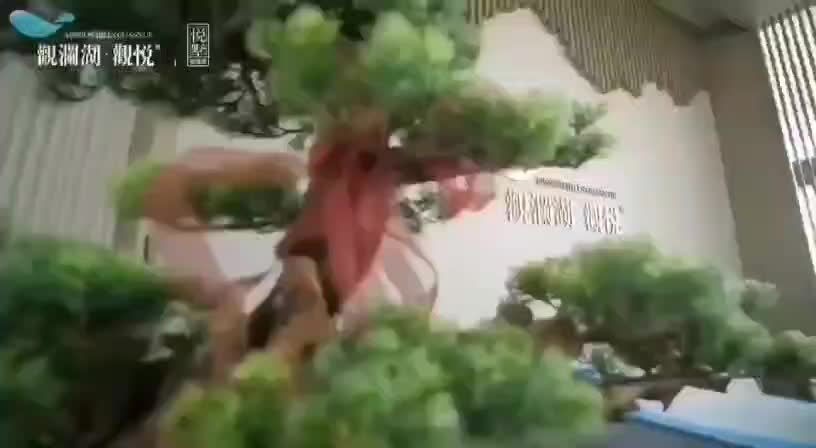 ...海口观悦别墅 99万起首付 首付分期两年无利息 性质:商业,70年产权,双