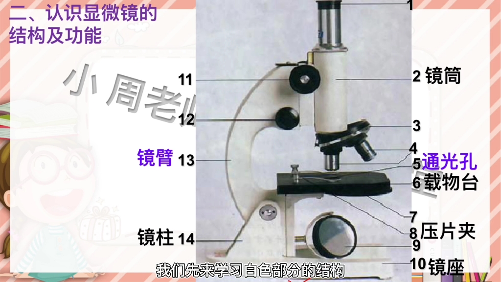 练习使用显微镜重难点二:显微镜由哪些结构组成,你觉得哪个结构最...