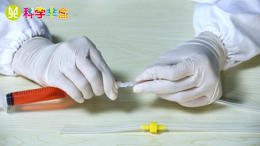 血液流遍全身,等于绕赤道2圈?1个小实验,了解血液流动的秘密!