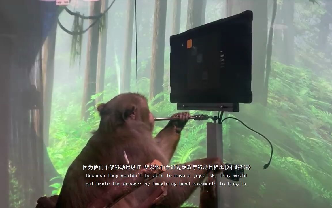 【脑机】猴子头脑风暴(MindPong)猴子玩电子游戏《乒乓》
