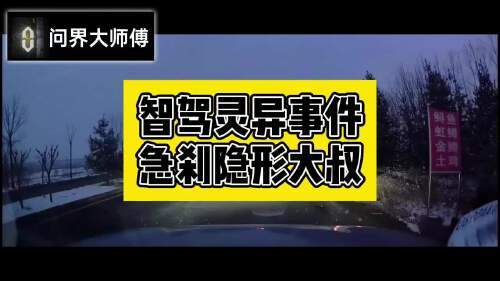华为问界智驾灵异事件?!AEB急刹出灵异大叔?