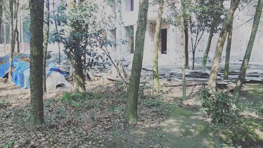 在农村这家人修的住房好大哦,屋顶全部现浇!我都羡慕