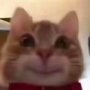 大锅猫丷 