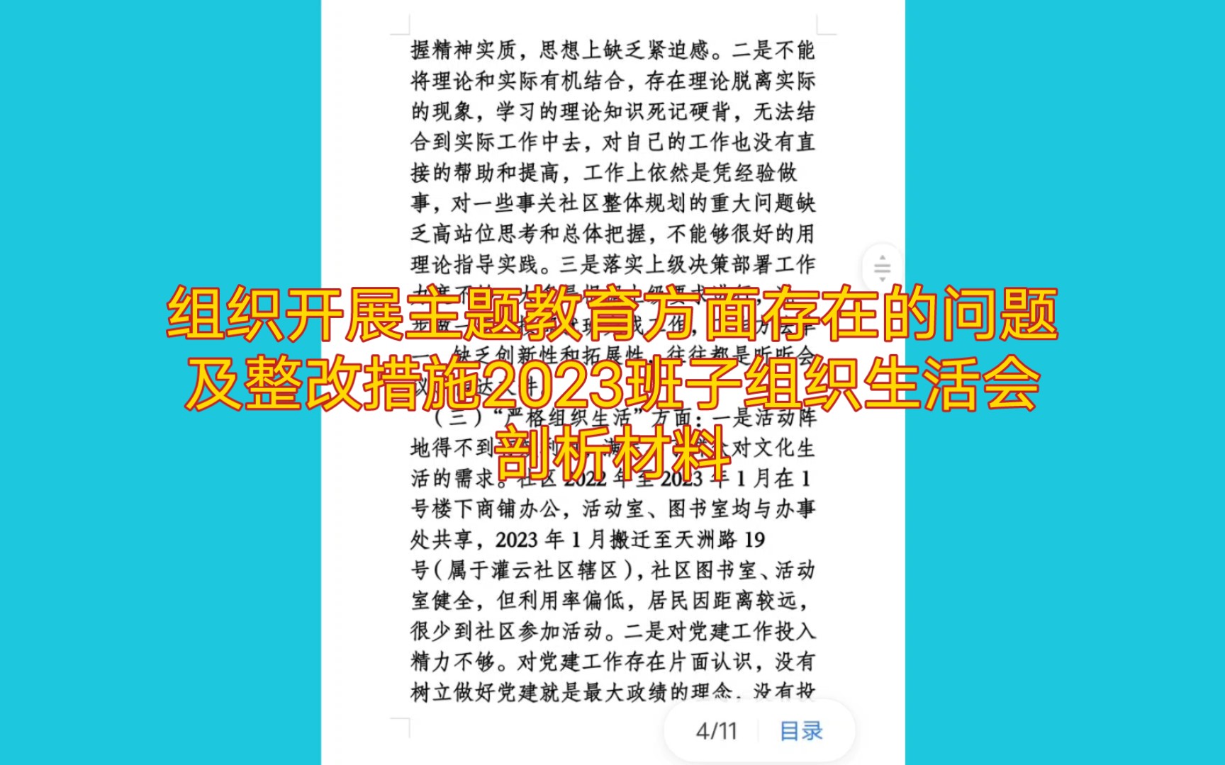 组织开展主题教育方面存在的问题及整改措施2023班子组织生活会...