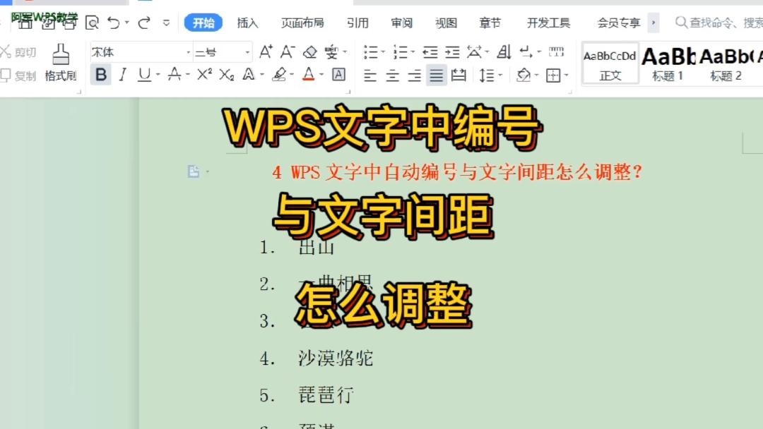 4 WPS文字中编号与文字间距怎么调整?