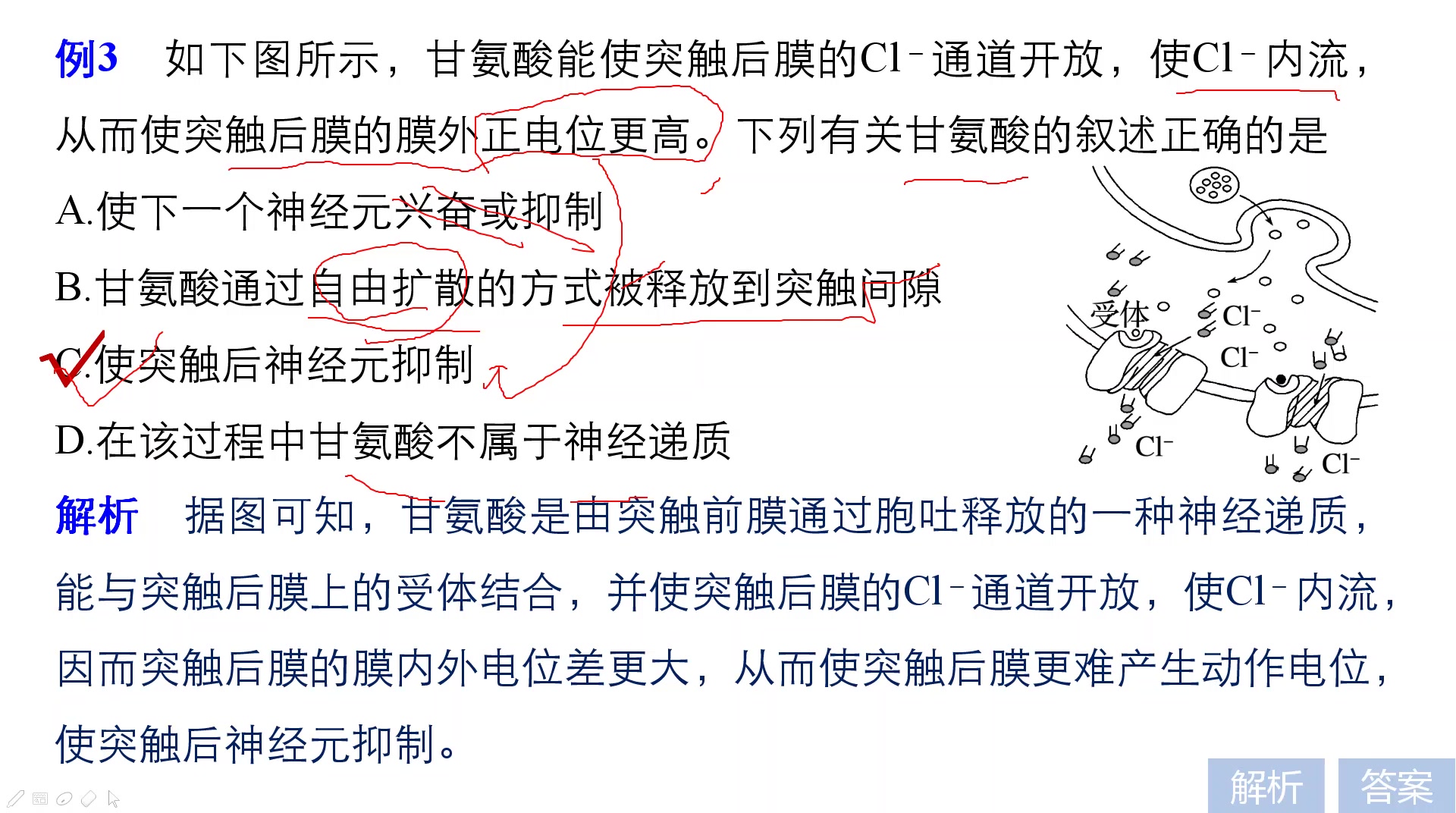 高中生物必修三经典例题——神经递质特点