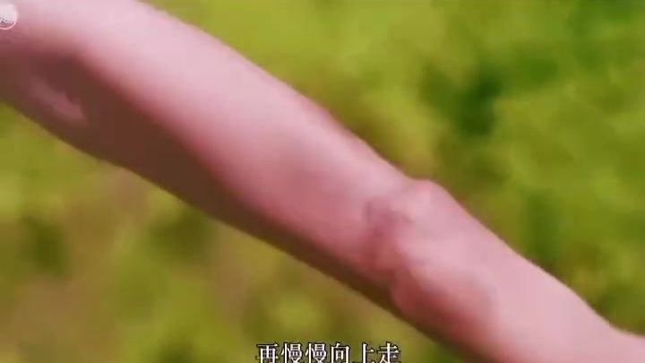剧情简介:《咒怨》导演清水崇执导的“恐怖村