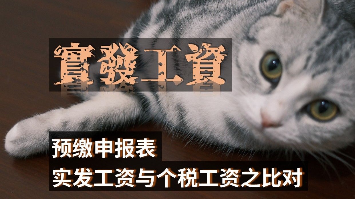 预缴申报表,实发工资与个税工资之比对