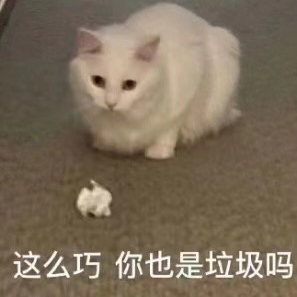 晏清二舅子 
