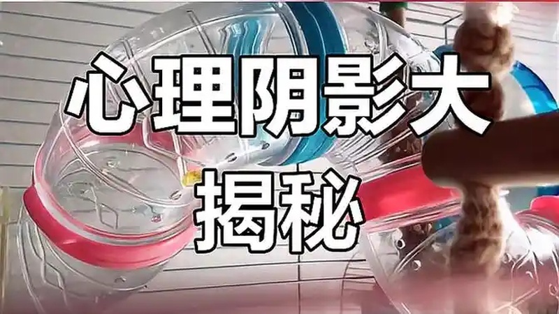 天呐!拆管道让我心碎,阴影面积无法计算