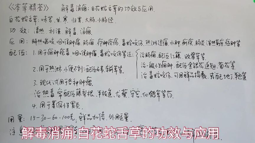 解毒消痈:白花蛇舌草的功效与应用