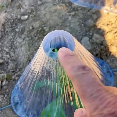 生活的真相和假象之间,我又发现了什么惊人的秘密?