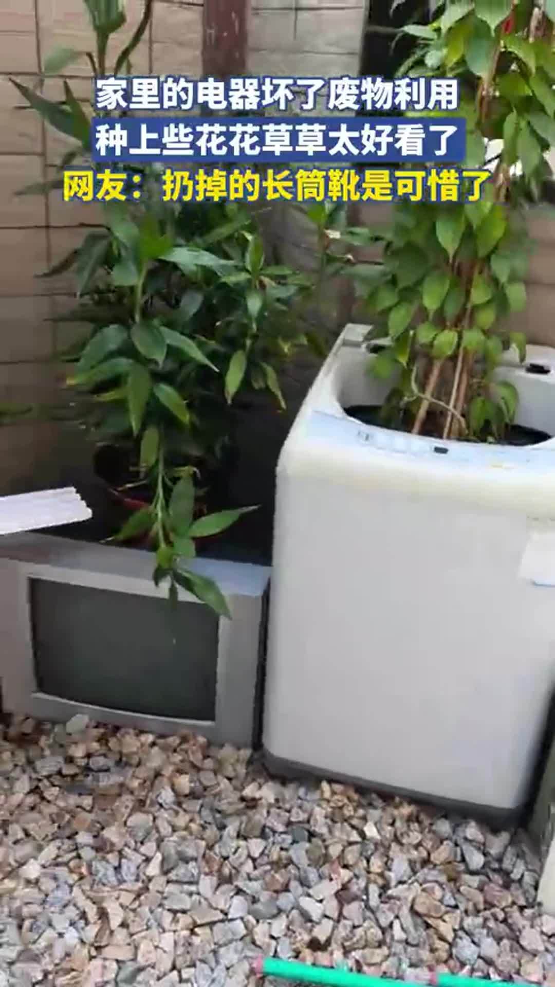 #生活 家里坏电器废物利用,种上花草竟美出天际!