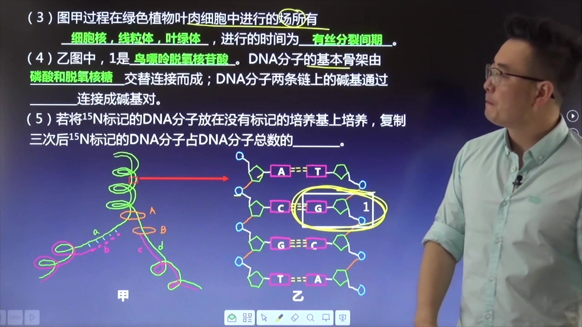 DNA分子复制原理大题秒杀