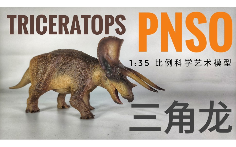 ...评测!——PNSO恐龙大王 博物馆系列1∶35科学艺术模型 三角龙 多利