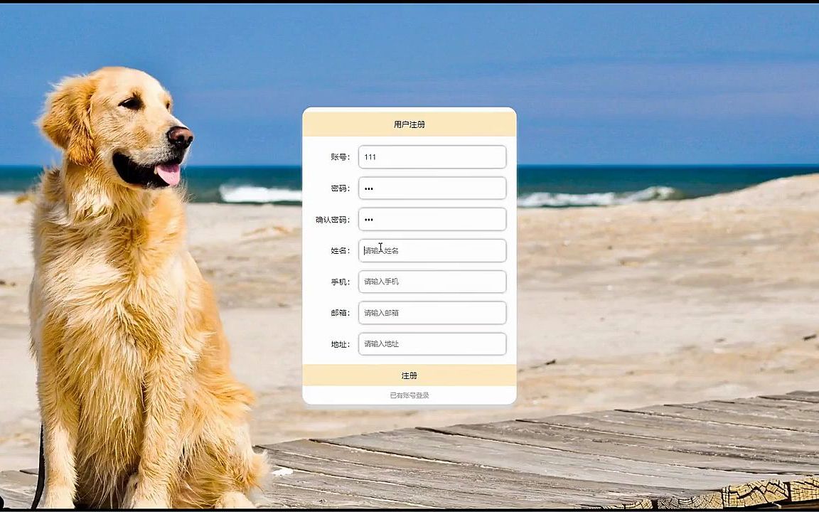 ...上海济光职业技术学院 毕业设计 springcloud流浪狗之家网页的设计与...