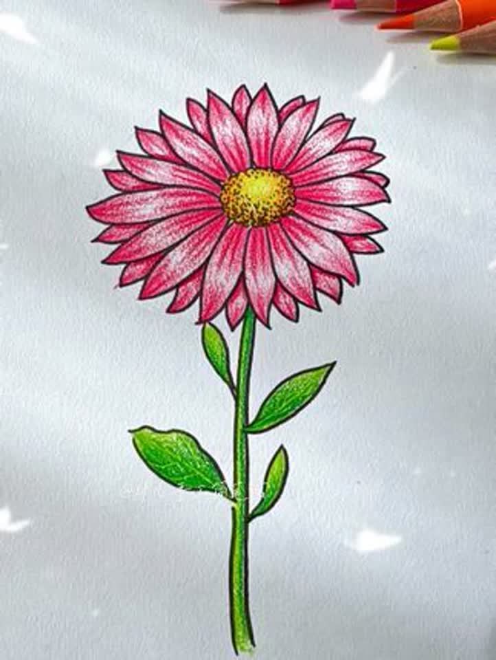 今天画简单又好看的花朵 #简笔画 #零基础学画画 #手绘教程 #花朵 #...