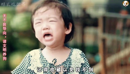 近期狗咬人事件频发,女童受伤严重,如何辨别什么样的狗会咬人?
