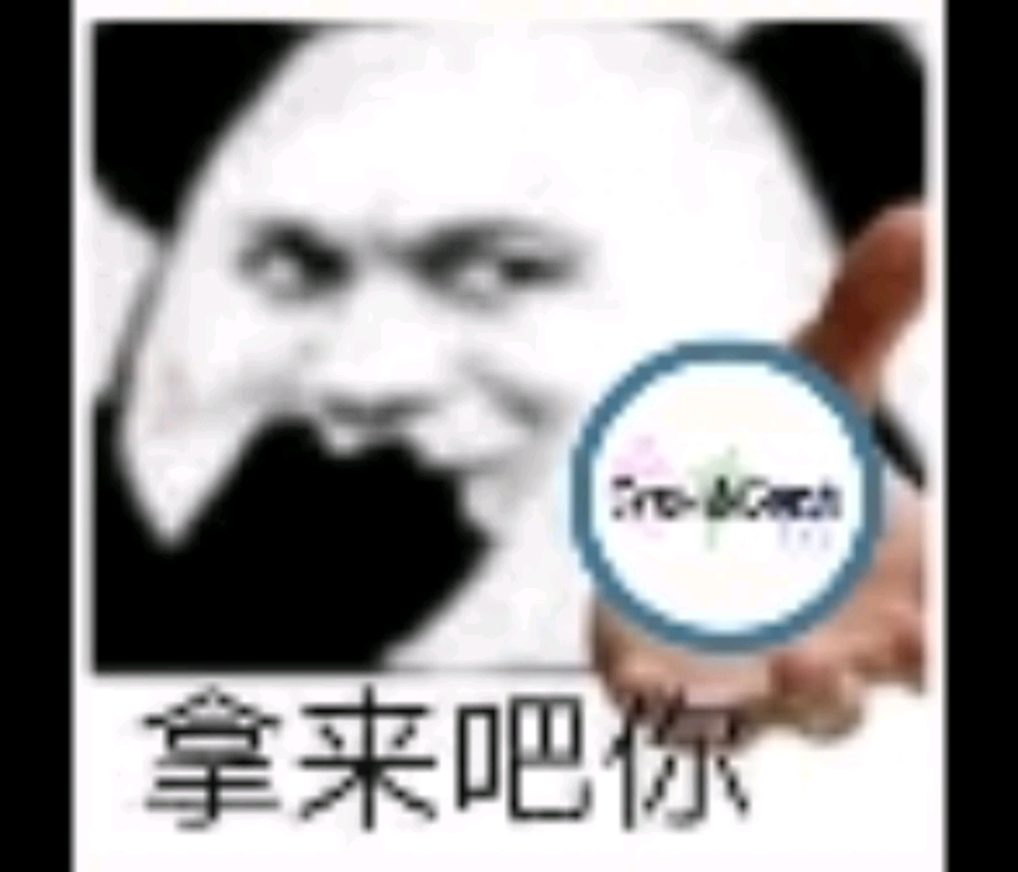入坑【Draw & Guess 】一发不可收拾—真正的带师