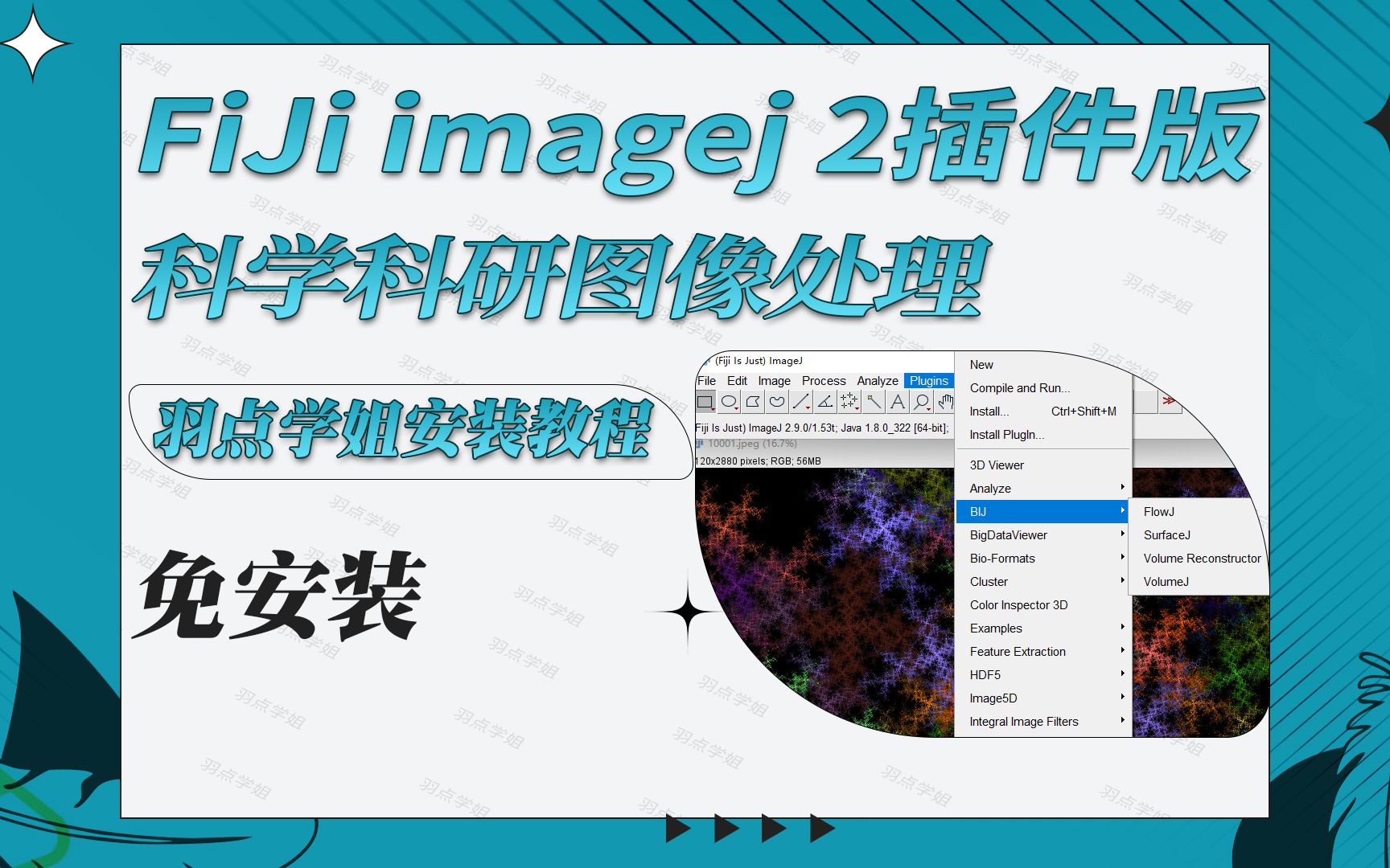 Fiji imageJ 2.0免安装插件版