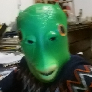 Mr绿头鱼 