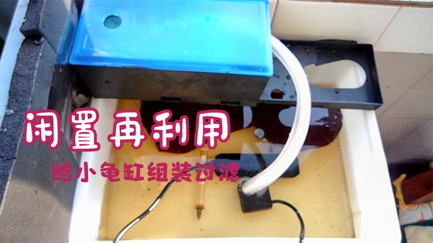 迷你过滤器效果不明显,用闲置过滤设备给小龟缸重新组合