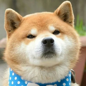 素手绘心 