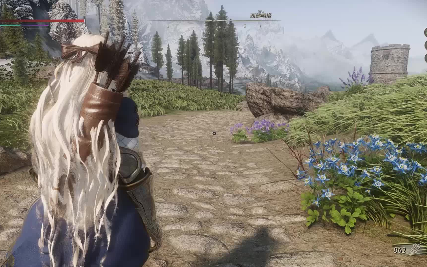 【老滚5】镜头预设 SmoothCam Preset - Dovah's Vision Messiah Edit...