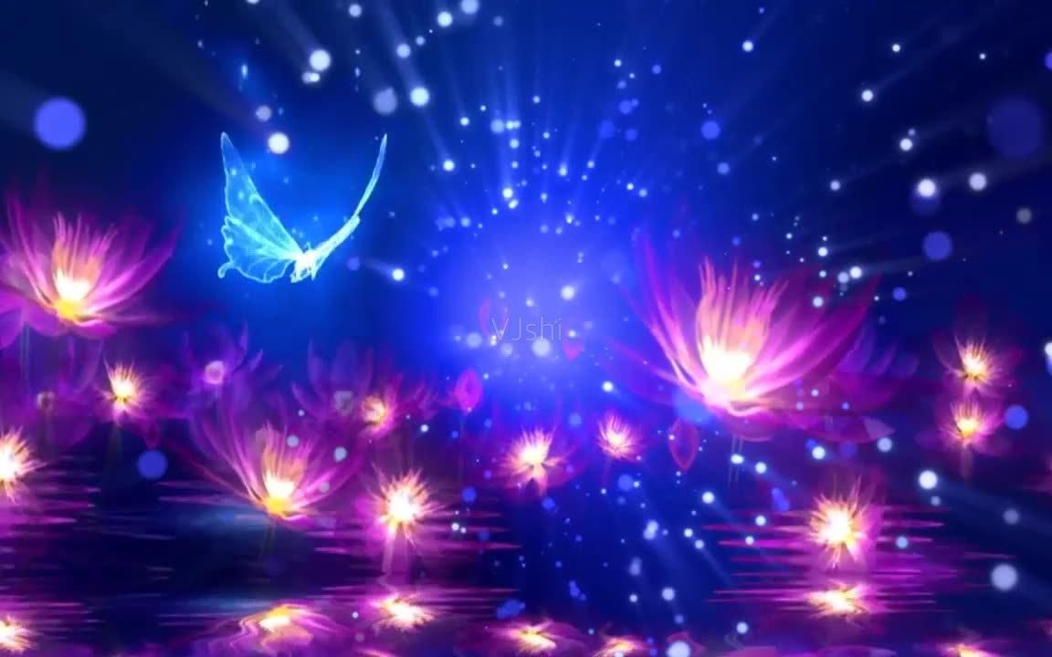 【AE教程】制作真实蝴蝶翅膀弯曲扇动