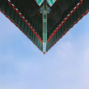 跌宕二十年 