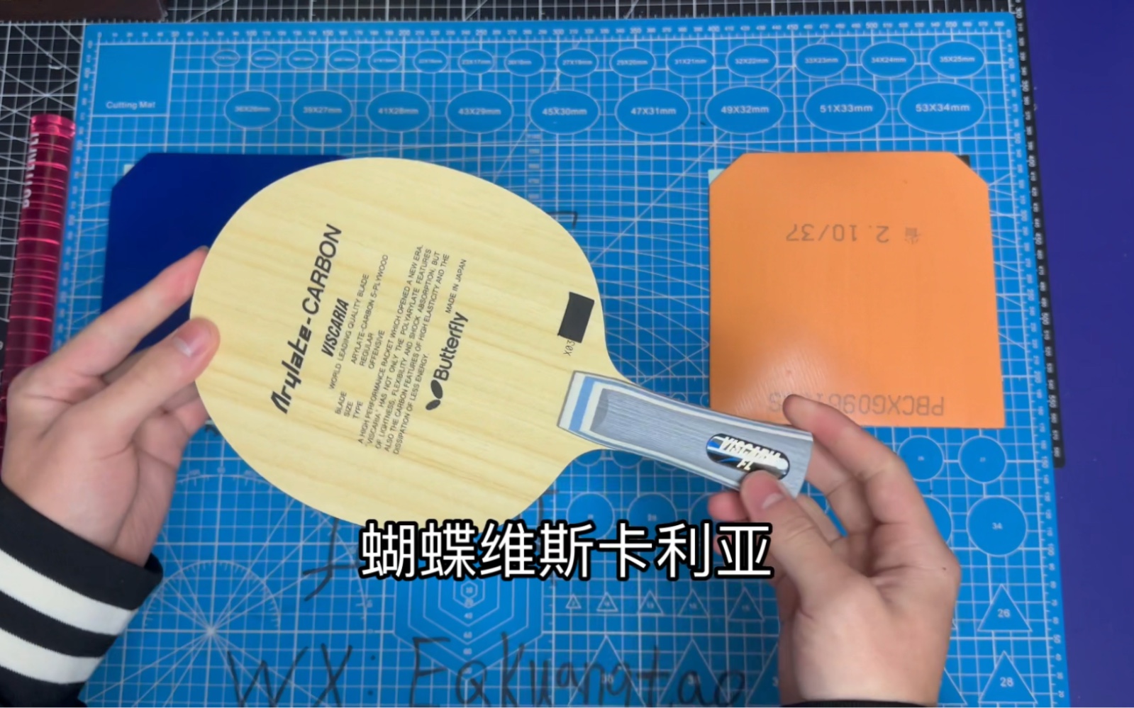 国家队同款的乒乓球底板!蝴蝶维斯卡利亚。维斯两面狂,打得他喊娘!...
