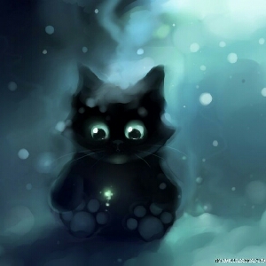 有只黑猫叫影猫 