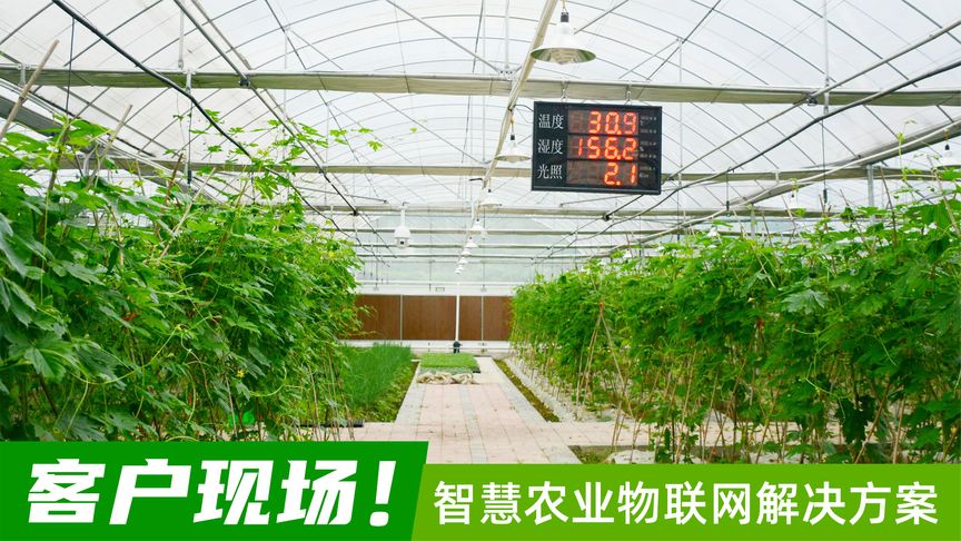 智慧农业物联网解决方案,大数据赋能农业产业园!