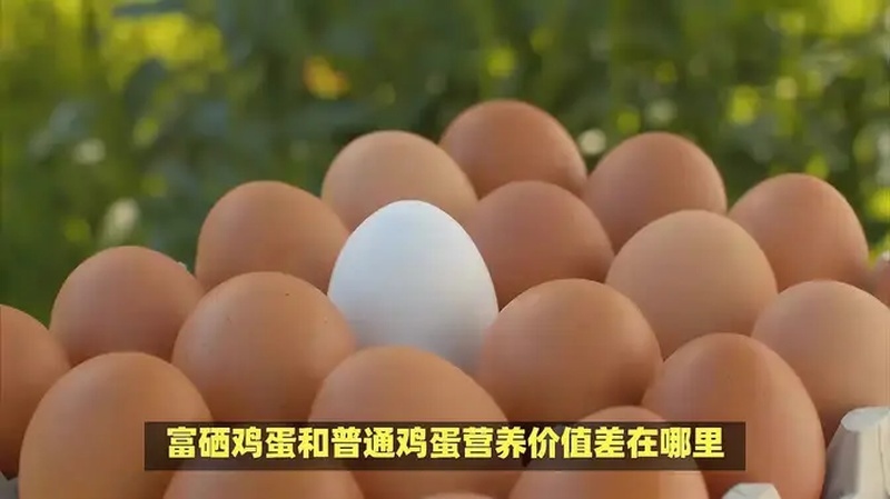 富硒鸡蛋和普通鸡蛋营养价值差在哪?一起了解二者之间的差别