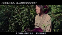 杨戬捉妖受伤，被人类抓住变成了奴隶，一部神话电影《杨戬传》！