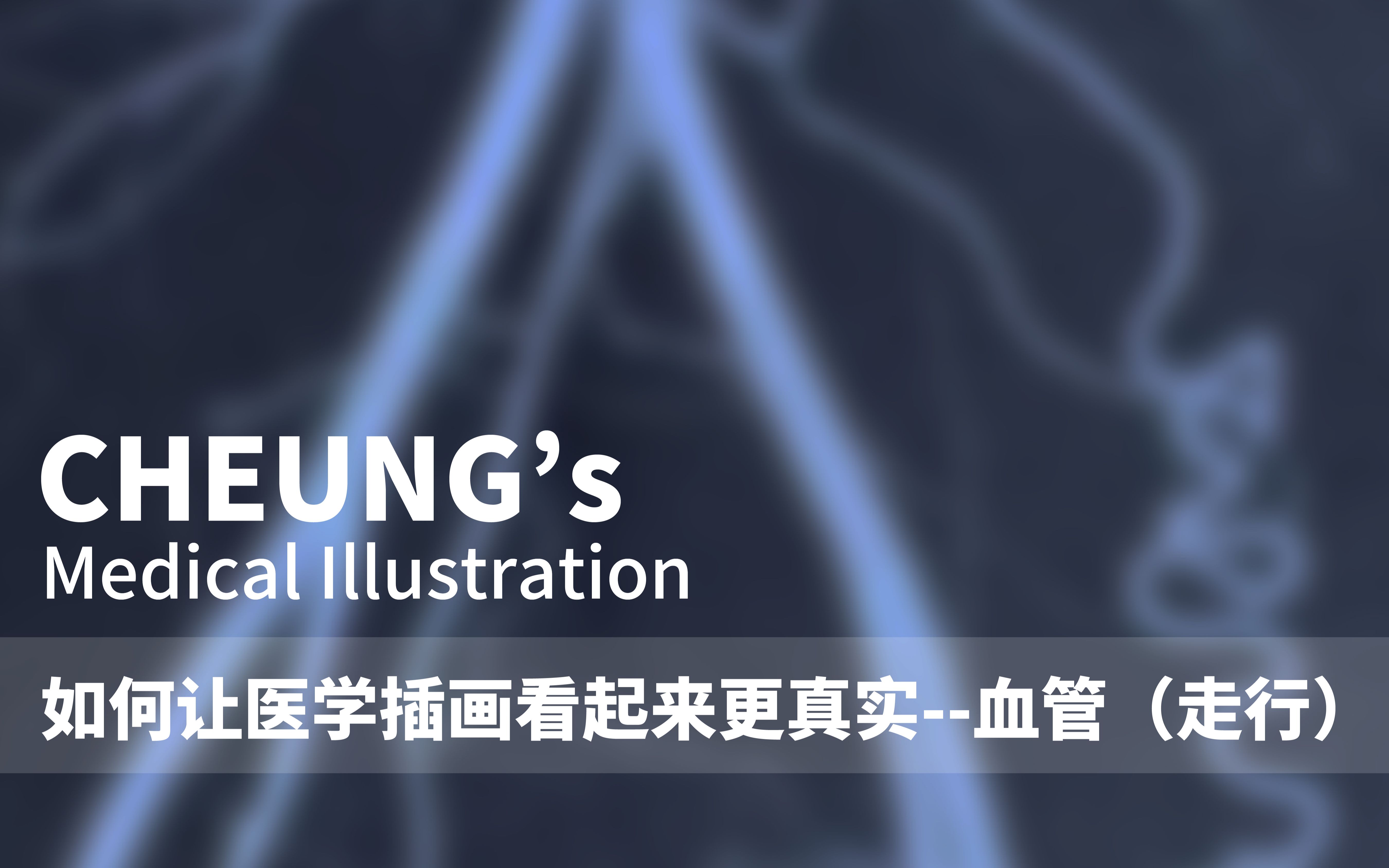 【医学插画】血管--如何通过走行的刻画让血管更真实
