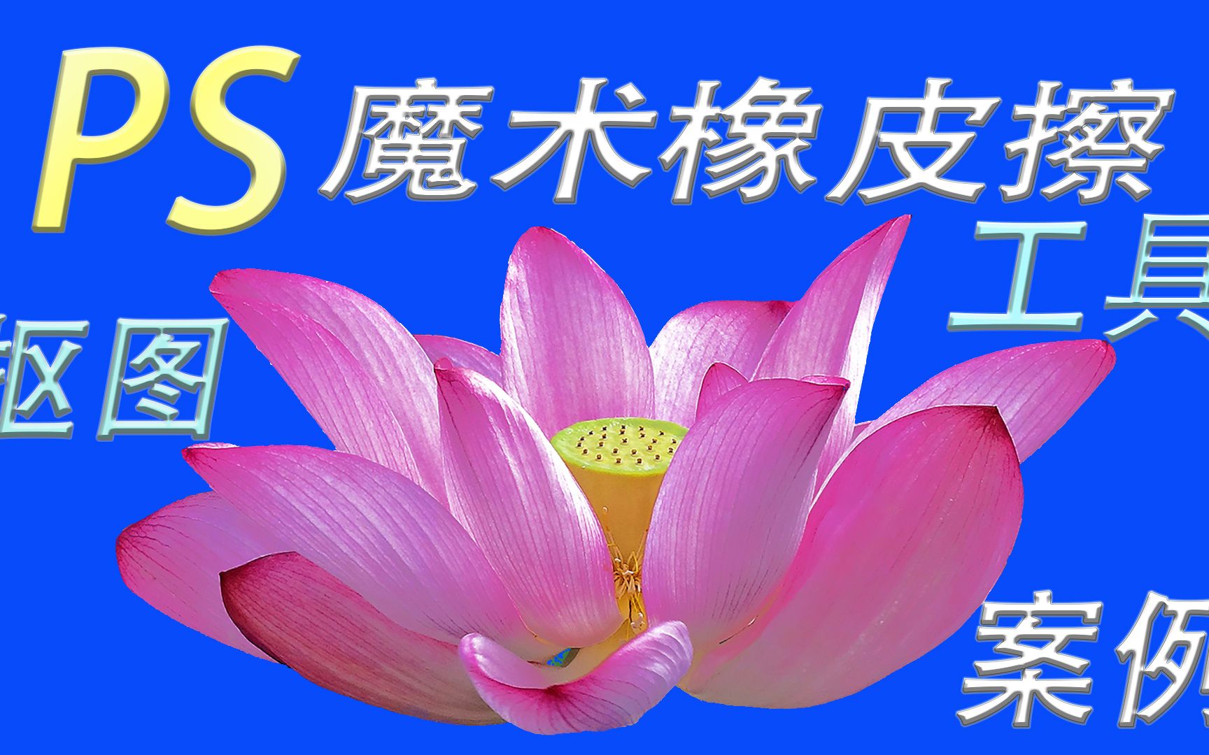 详细讲解PS魔术橡皮擦工具抠图视频教程